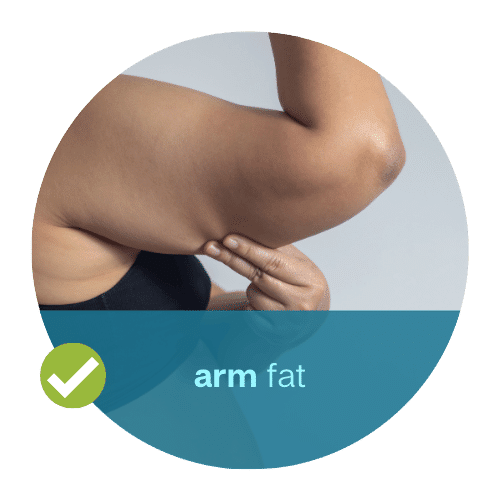 Fat Freeze Singapore - Price & Review (2025) - Bio Aesthetic Clinic